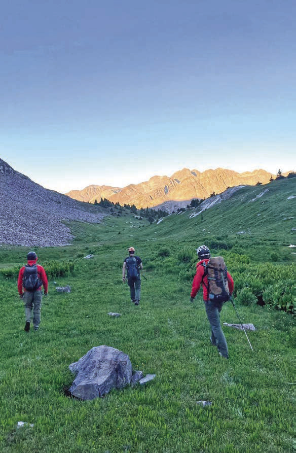 Fatal fall on Snowdon Peak | Silverton Standard